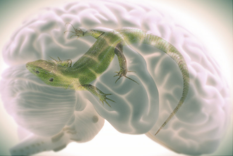 The Emotionally Intelligent Business Website - Marketing 360® Blog