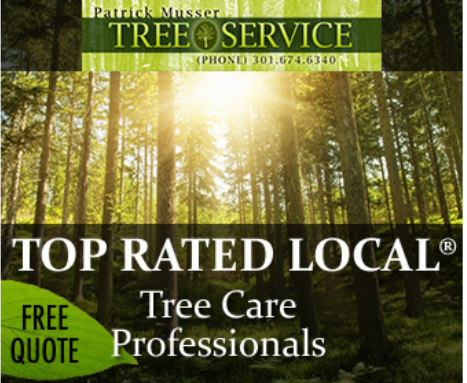 7 Tree Care Marketing Tips, Tricks and Lead Generation Strategies
