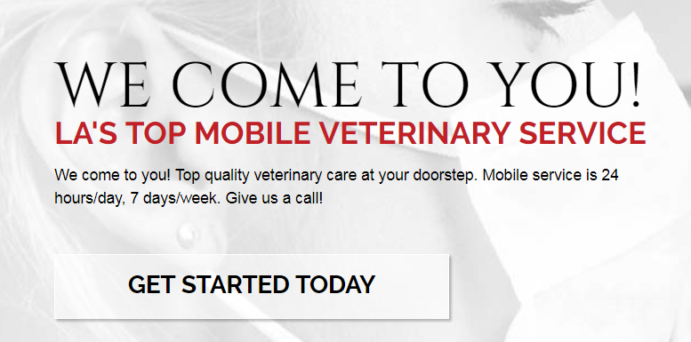 Case Study: Vet Clinic Wins With Unique Value Proposition - Marketing ...