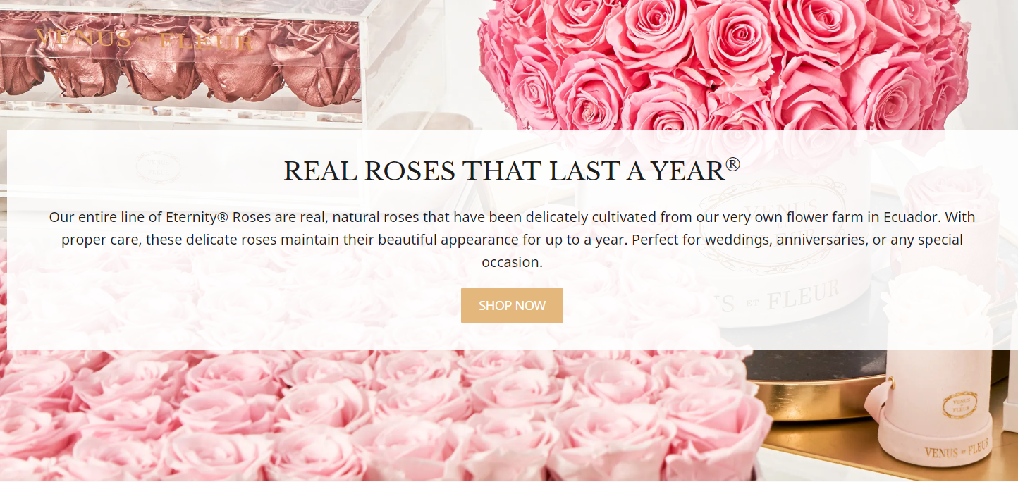 How to Write Headlines for Your Small Business Website