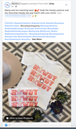 Case Study: Online Store Maximizes Conversions With Social Media Marketing