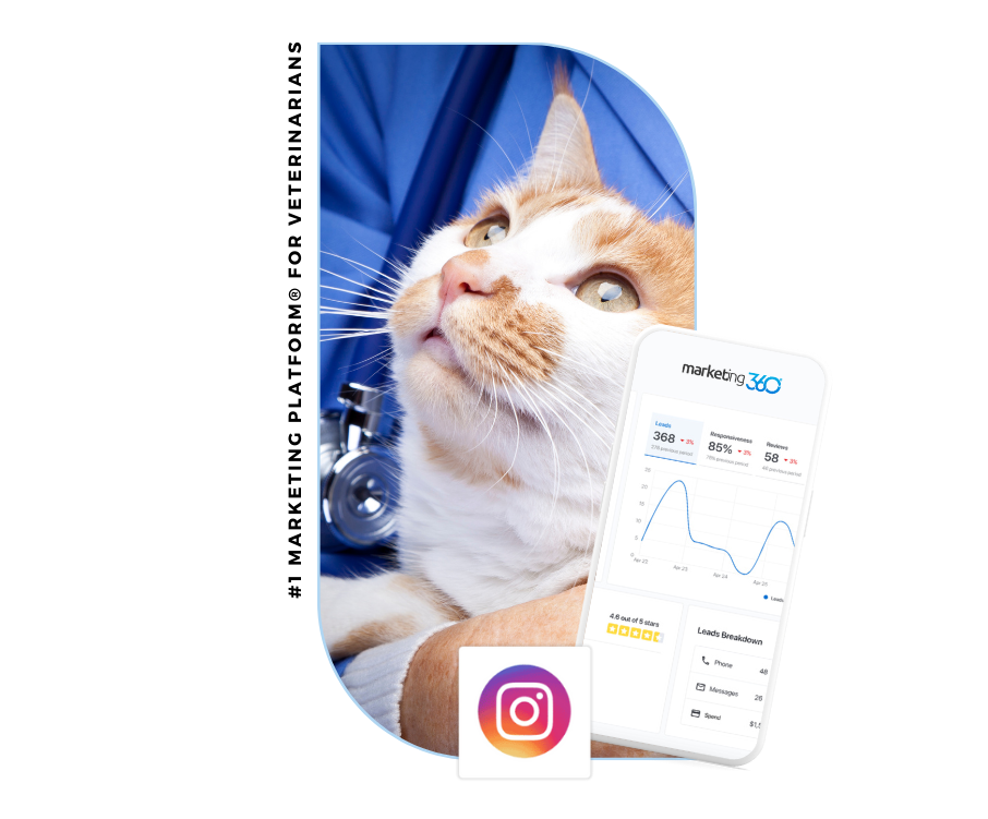 Instagram Marketing for Veterinarians - Marketing 360® Blog